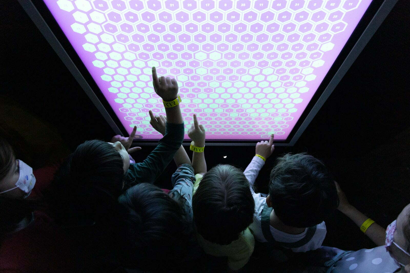 RADAR Kids - Fantasia Playground, la Palatul Oscar Maugsch - Curatorial