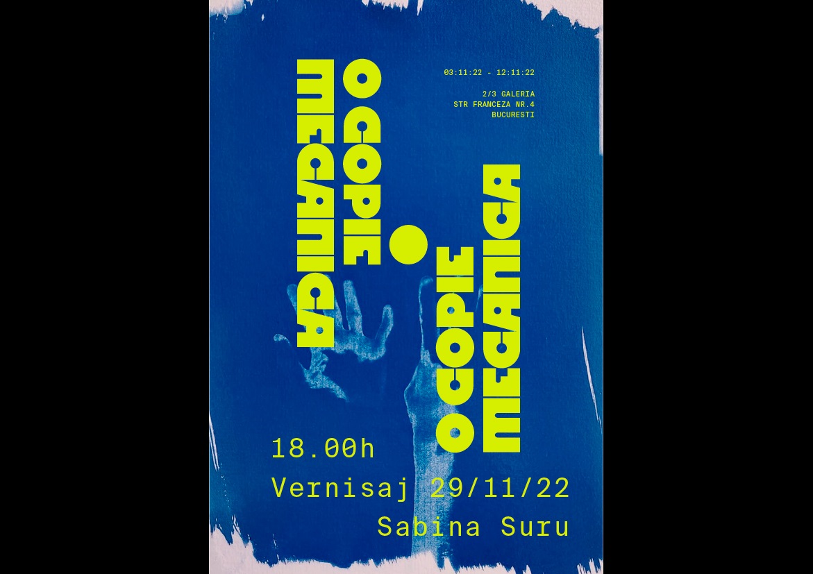 Sabina Suru, expozitie, 2/3 galeria